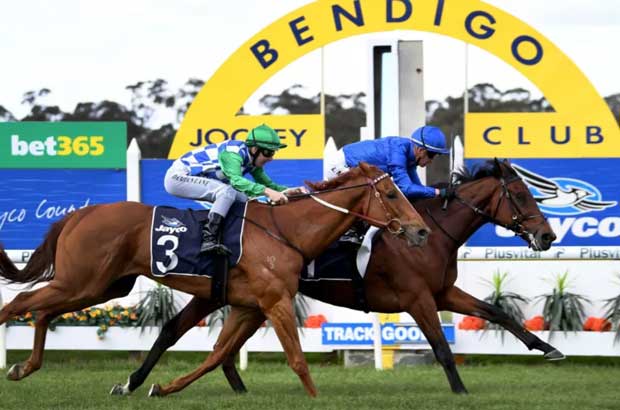 Horse Racing Tips for Bendigo Cup 2024