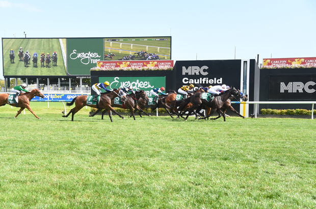 Horse Racing Tips for Caulfield Heath 28/11/24