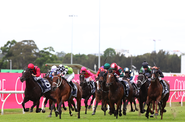 Horse Racing Tips for the Coolmore Classic 2025
