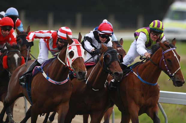 Horse Racing Tips for Taree 15/8/25