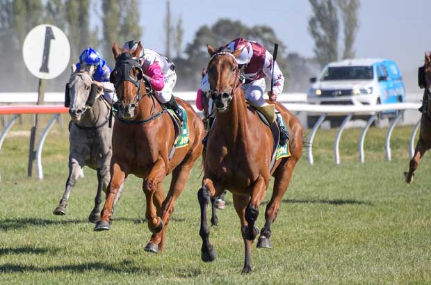 Horse Racing Tips for Warren 2/6/25