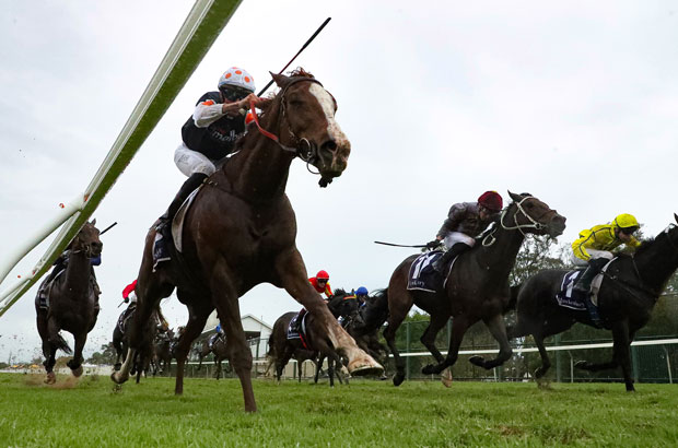 Horse Racing Tips for Orange 22/10/24