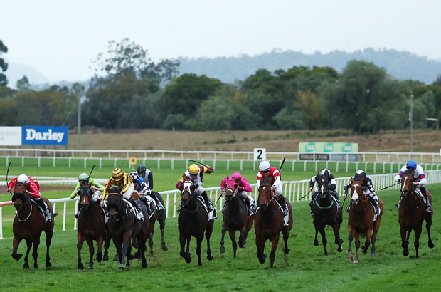 Horse Racing Tips for Taree 22/7/25