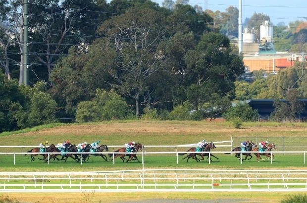 Horse Racing Tips for Taree 7/1/25