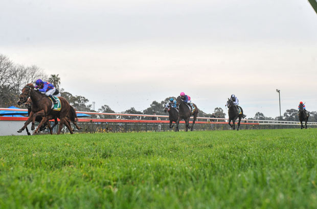 Free Horse Racing Tips & Best Bets for Narrandera 13/7/25