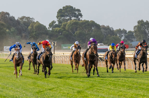 Horse Racing Tips at Bunbury for Sunday races 2/6/2024
