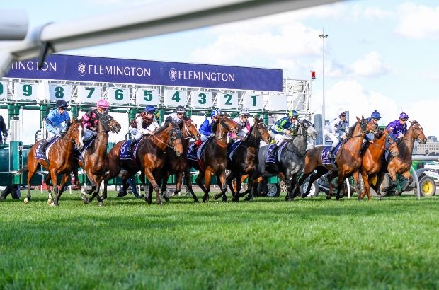 Horse Racing Tips for Flemington 15/2/25