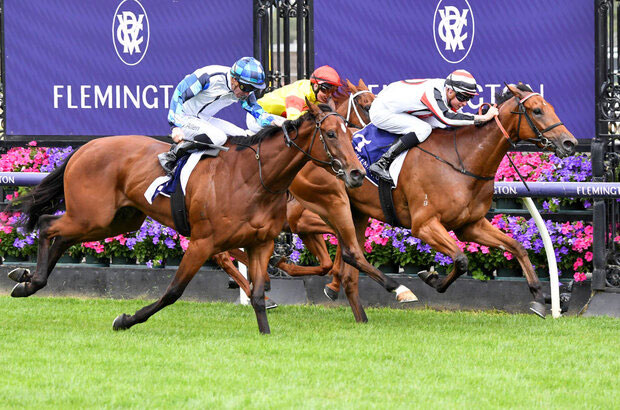 Flemington Tips for Australian Cup 2024