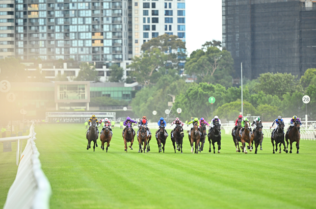 Horse Racing Tips for Flemington 18/1/25