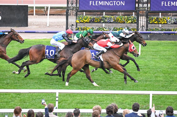 Horse Racing Tips for Flemington 2/8/25