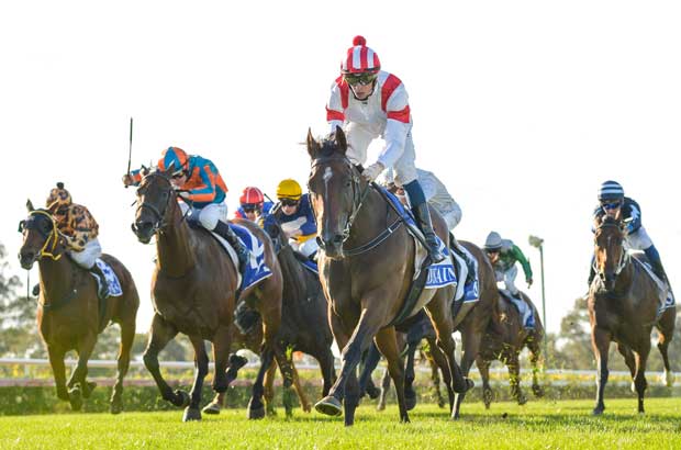 Racing.com Tips review 21/05/21