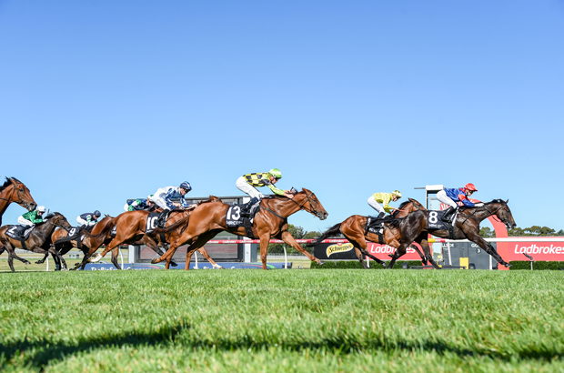 Free Horse Racing Tips for Saturday Racing 21/01/23