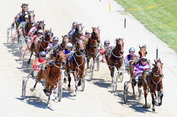 Harness racing tips & best bets for Bathurst 06/10/21