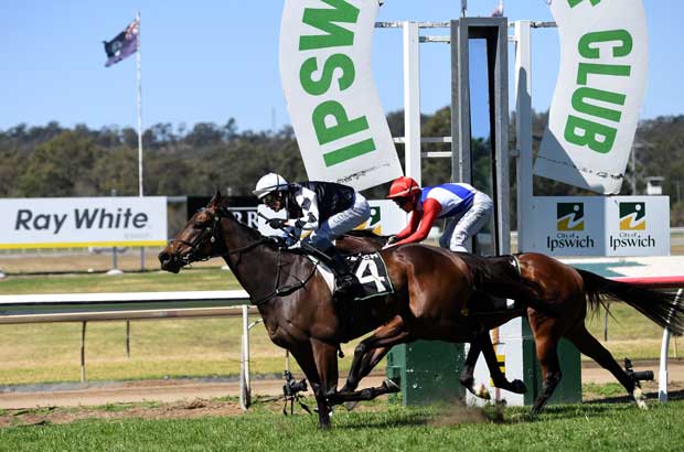 David Gately Horse Racing Tips for Ipswich Cup 22/6/24