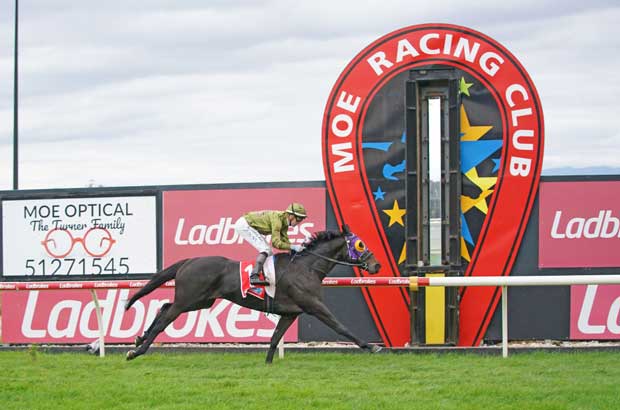 Horse Racing Tips for Moe 19/6/25