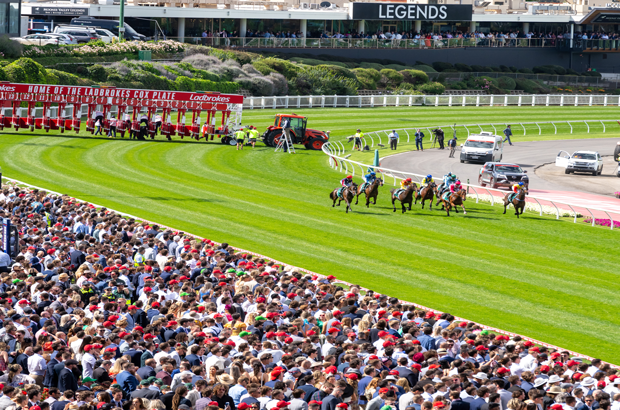 Horse Racing Tips for the Cox Plate 2024