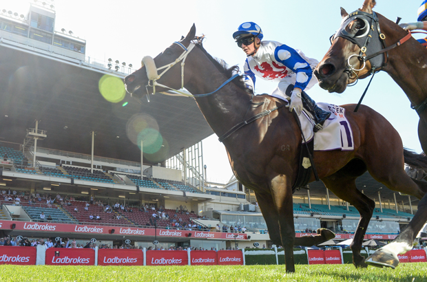 Trainers & Jockeys to follow on Cox Plate Day 28/10/23