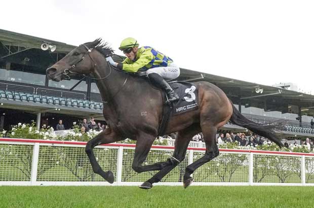 22/4/23 Saturday Horse Racing Best Bets for Mornington