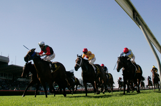 Saturday Horse Racing Tips at Morphettville 2/11/24