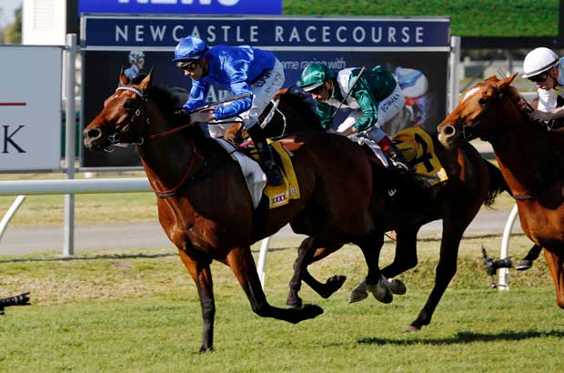 Newcastle Horse Racing Tips and Best Bets 17/10/23