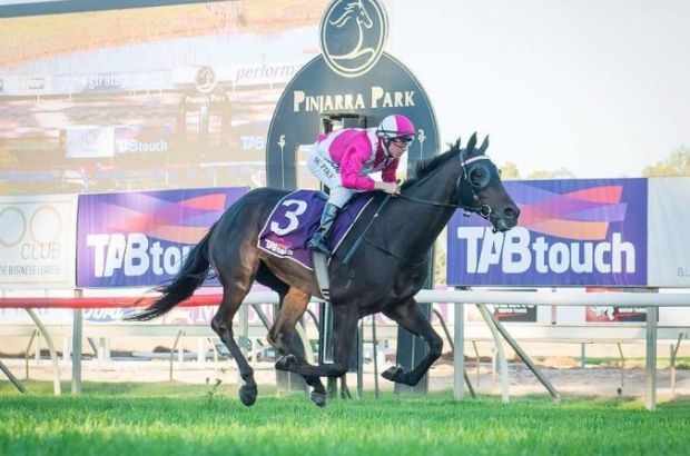 Free Horse Racing Tips & Best Bets for Pinjarra 28/5/25