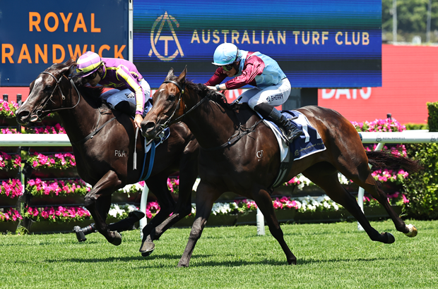 Horse Racing Tips for Randwick 25/1/25