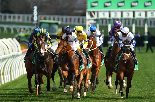 Randwick Horse Racing Tips for Saturday 24/8/24