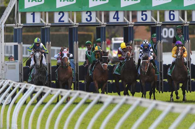 Horse Racing Roughies and Longshots Tips at Randwick 9/12/23