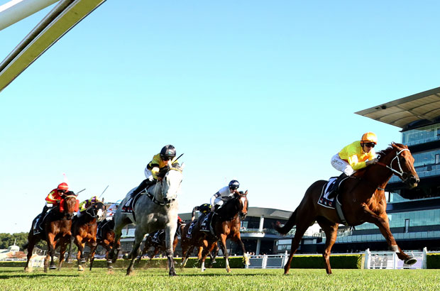 Horse Racing Tips for Randwick 12/7/25