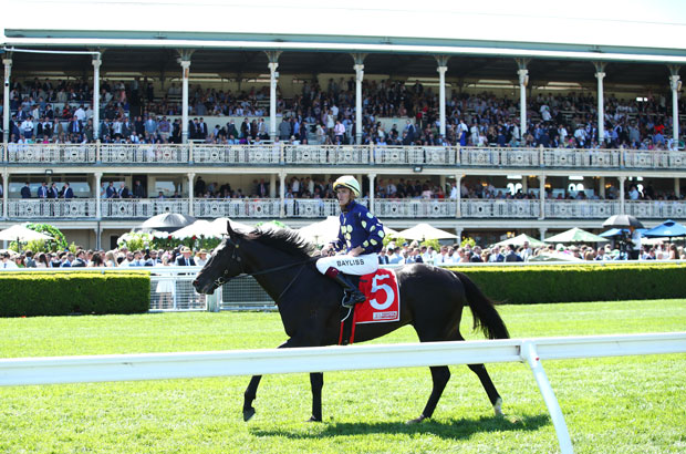 Horse Racing Roughies and Longshots Tips at Randwick 28/10/23