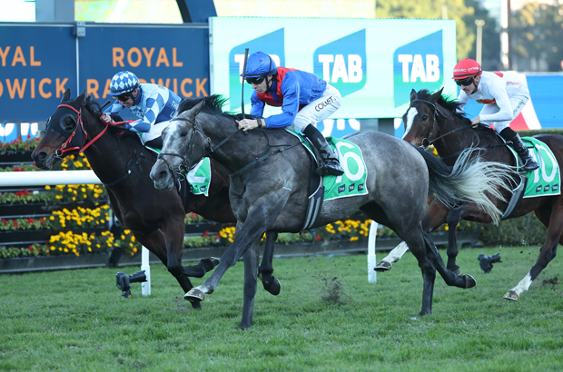 Horse Racing Tips for Randwick 6/9/25