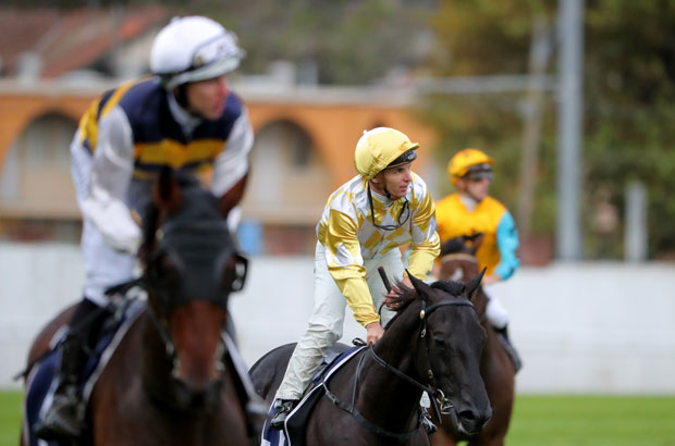 Horse Racing Roughies and Longshots Tips at Randwick 10/2/24