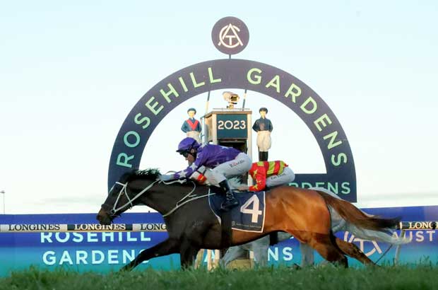 Horse Racing Roughies and Longshots Tips at Rosehill 11/11/23