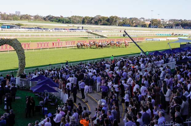 Rosehill Horses To Follow from Saturday Racing 14/10/24