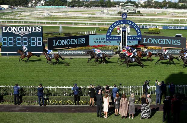 Horse Racing Roughies and Longshots Tips at Rosehill 31/11/23