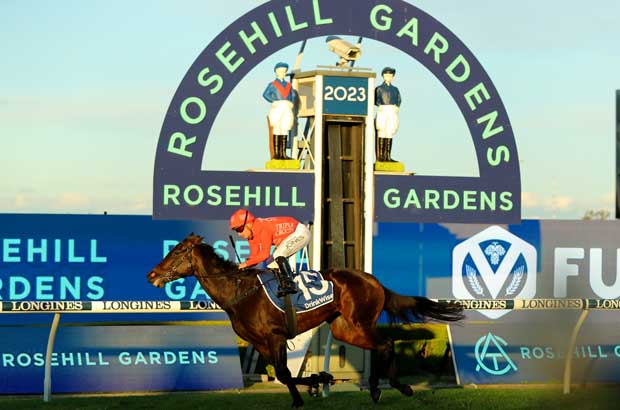 Horse Racing Roughies and Longshots Tips at Rosehill 20/1/24