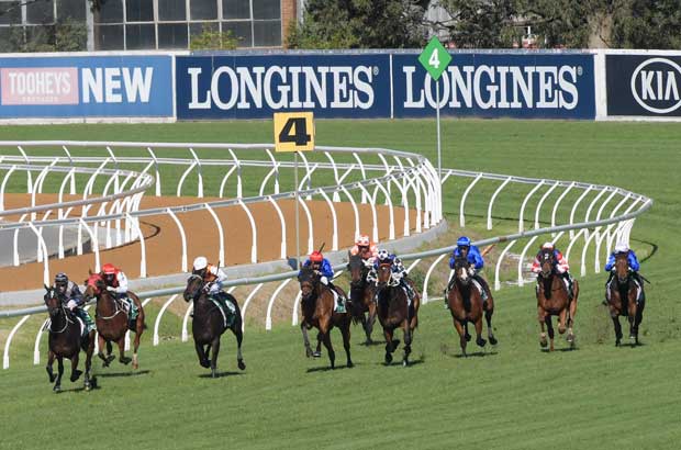 Free Horse Racing Tips and Best Bets for Rosehill 26/2/25