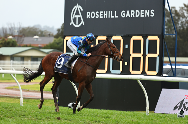 Rosehill Horses To Follow from Saturday Racing 30/9/25