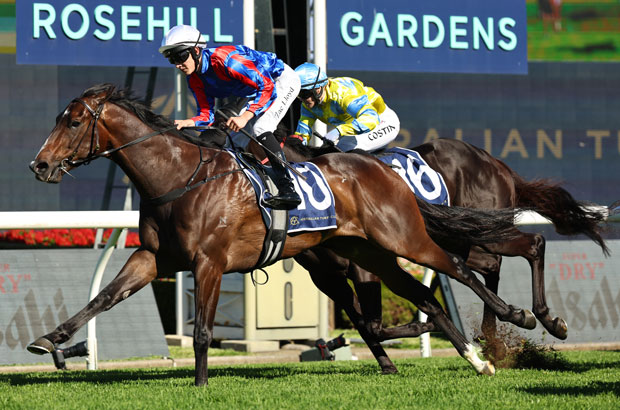 Horse Racing Tips for Rosehill 17/1/26