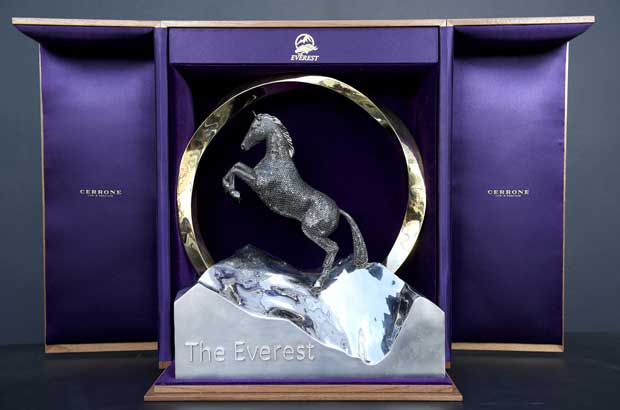 Horse Racing Tips for The Everest 2024