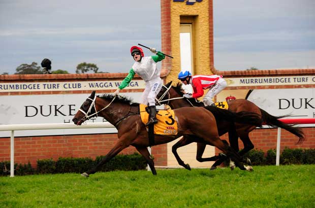 Horse Racing Tips for Wagga 5/9/24