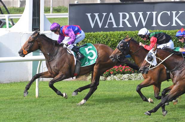 Horse Racing Tips and Best Bets at Warwick Farm 10/1/2024