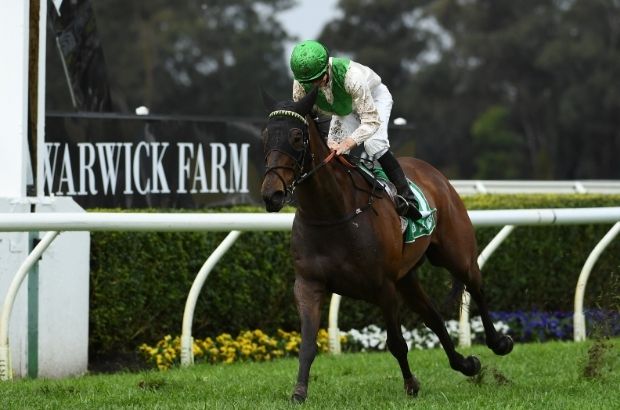 Horse Racing Tips for Warwick Farm 18/12/24