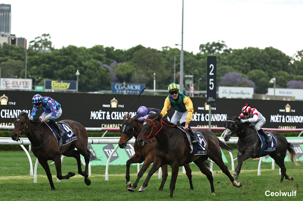 Horse Racing Tips for Randwick 18/10/25