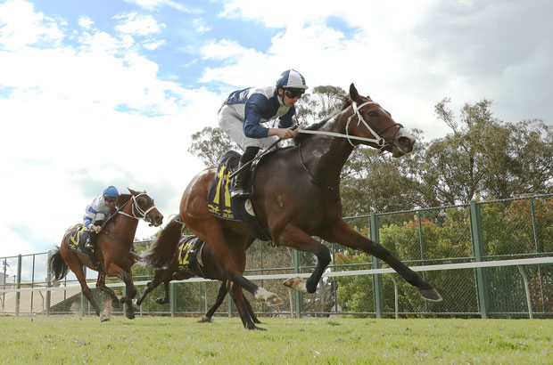 Sky Racing Tips For Today 25/7/25