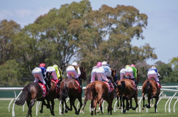 Horse Racing Tips for Port Lincoln 12/1/25