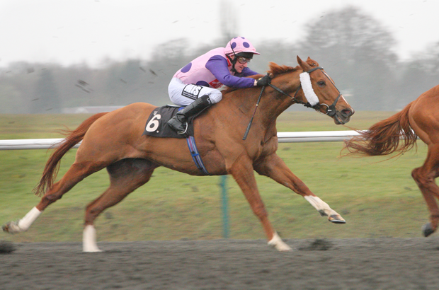 Horse Racing Tips for Darwin 4/8/25