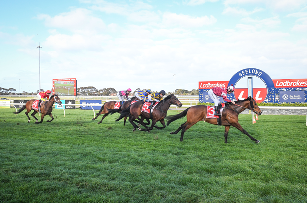 Horse Racing Tips for Geelong 4/1/25