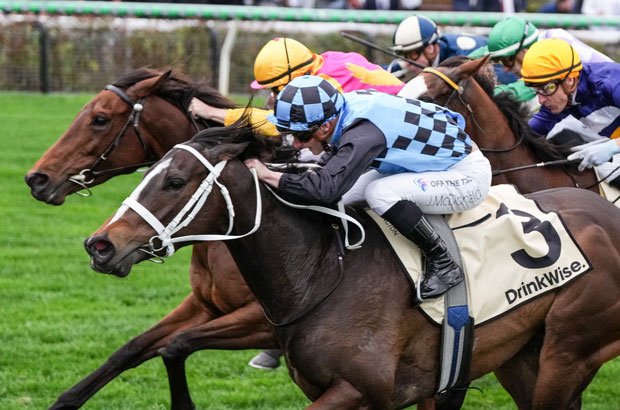 Horse Racing Tips for the Toorak Handicap 2025