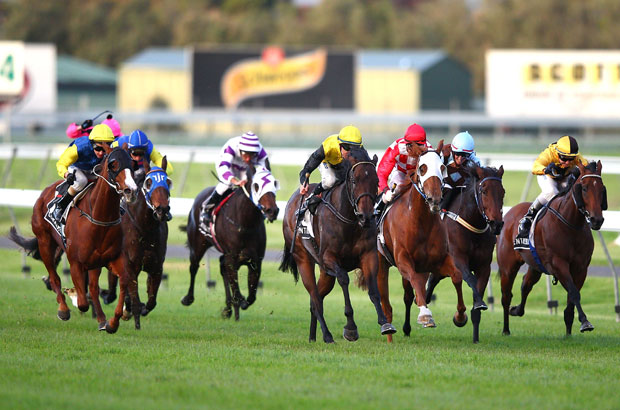 Saturday Horse Racing Tips at Morphettville 28/12/24